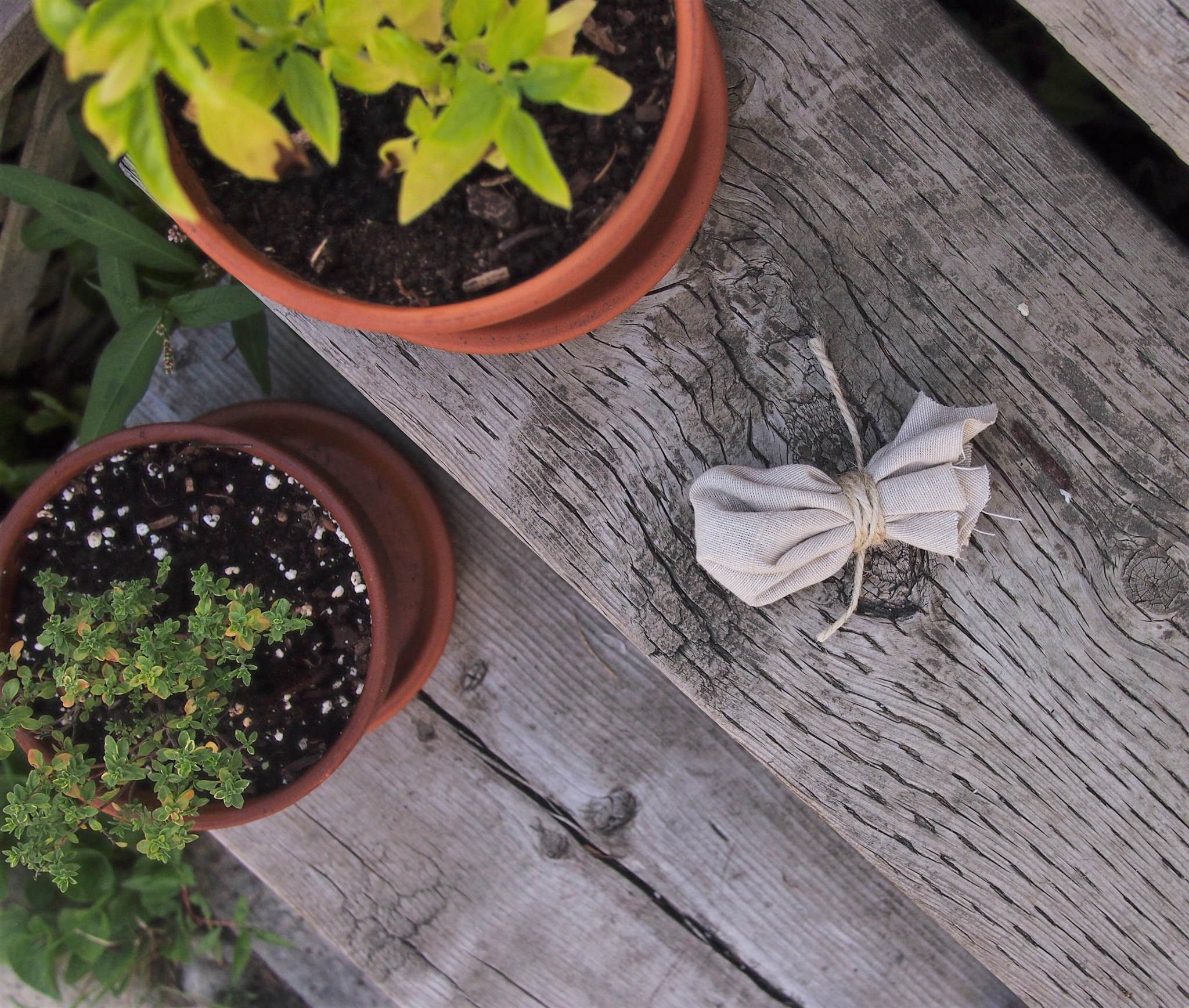 Lammas: Celebrating the Grain Harvest – Everyday Magic